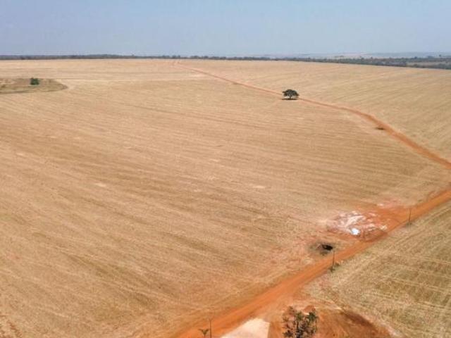 Fazenda para venda em Centro, Luziânia