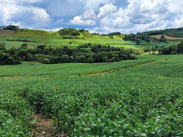 Fazenda