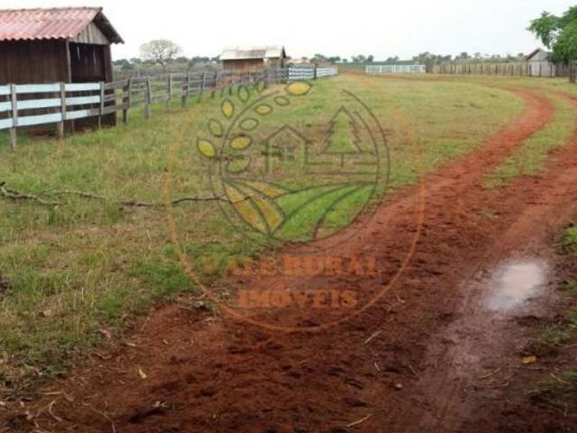 Fazenda