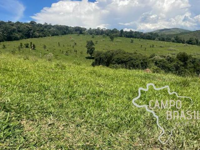 FAZENDA 188 HECTARES EM MINAS GERAIS !
