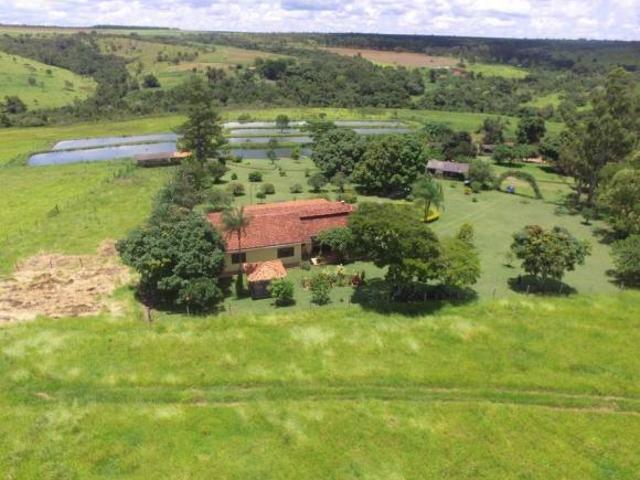 Fazenda 18 Alqueires Terra pra Lavoura, Asfalto na Porta, 35 Hectares de Soja, 17 Hectares Reserva