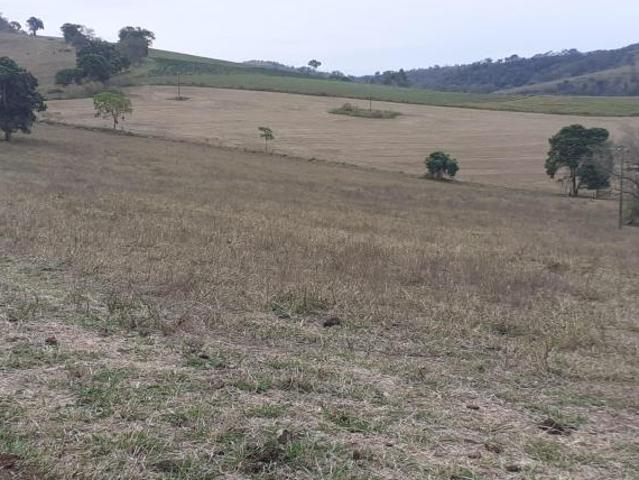 Fazenda 190 Alqueires, Rica em Água com 9 Nascentes, 100 Alqueires em Pasto, 70 Alqueires em Milho o