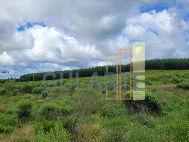 Fazenda