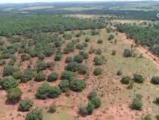 Fazenda 191ha em Abaeté, plana, terra cultura, nascente