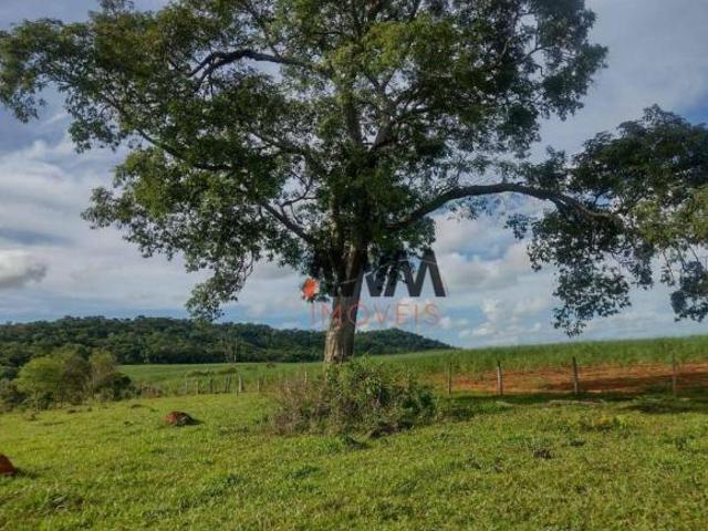Fazenda