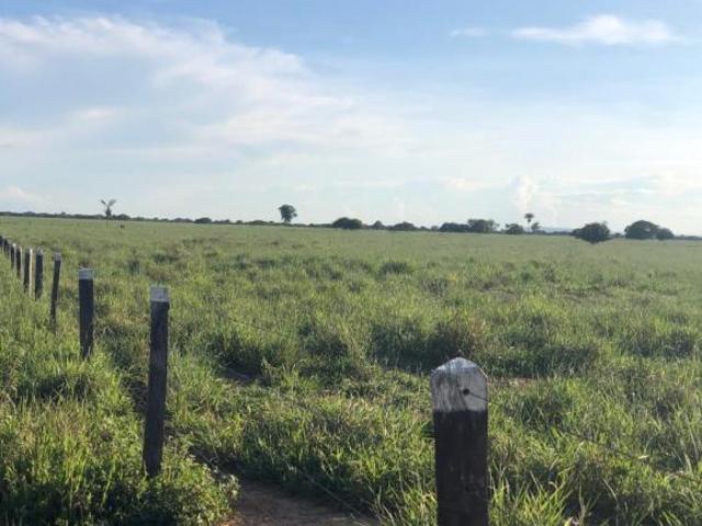 FAZENDA 1000HA na JAIBA MG
