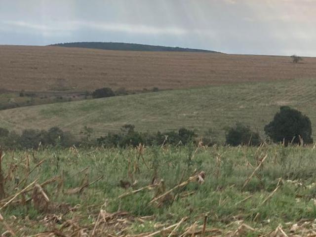 Fazenda 100 Alqueires, 80 Alqueires em Área Para Plantio, Topografia Plana, Terra Mista, Sem Benfeit
