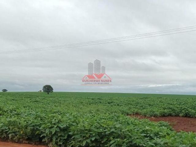 Fazenda 100 Alq Ivaté PR | 80 Alq Plantio | Beira Rio Ivaí