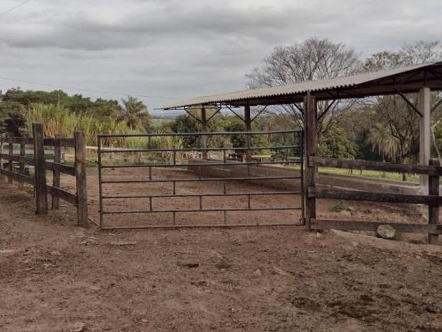 Fazenda 100 Hectares com Excelente Topografia e Estrutura de Pecuária em Sul de Minas Gerais