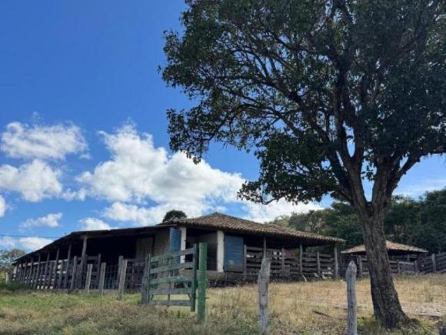 Fazenda 100 hectares em Bom Despacho MG