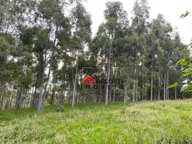 Fazenda
