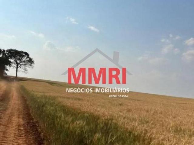 Fazenda para venda em Centro, Paranapanema