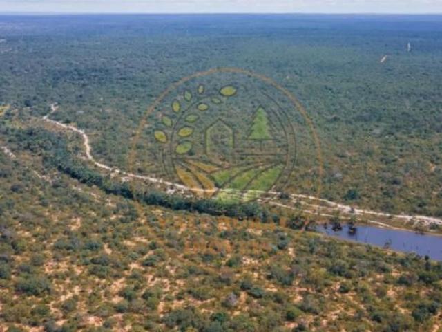 Fazenda