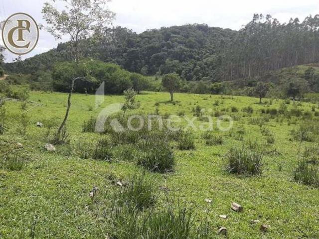 Fazenda
