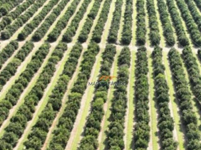Fazenda