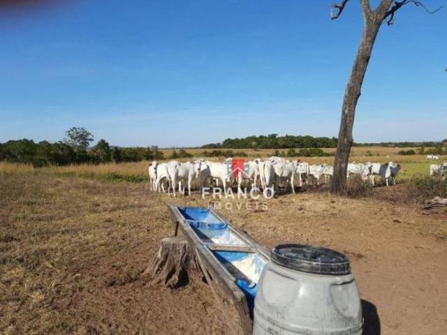 Fazenda