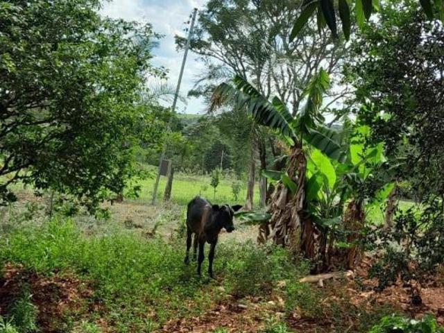 Fazenda