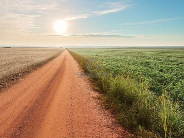 Fazenda 10 mil ha Gaúcha do Norte MT | Investimento Agro