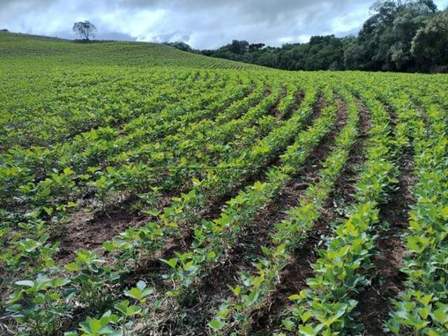 Fazenda