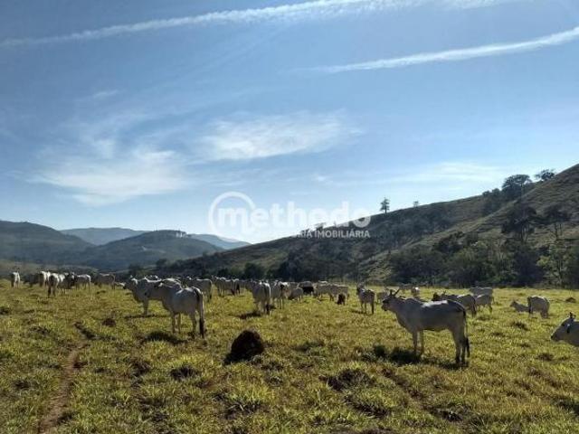 Fazenda