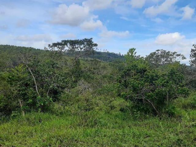 Fazenda