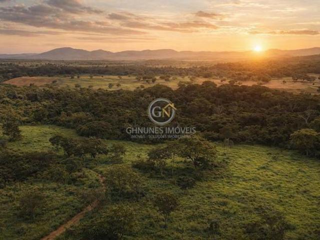 Fazenda 116 Alq em Porangatu GO | Pecuária e Energia Solar