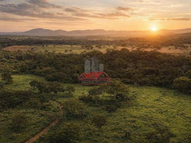 Fazenda 116 Alq em Porangatu GO | Pecuária e Energia Solar