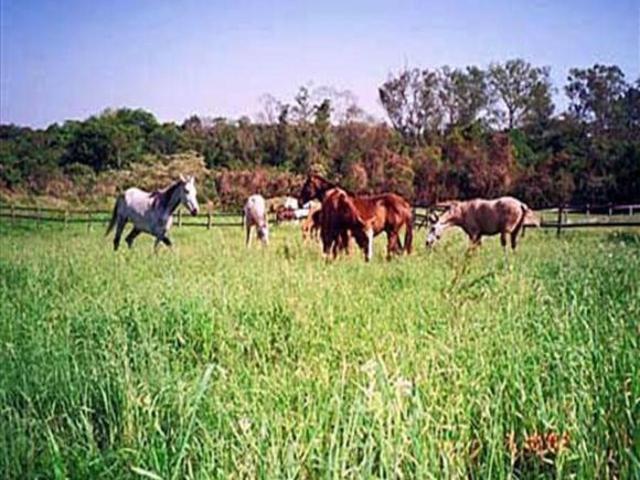 Fazenda