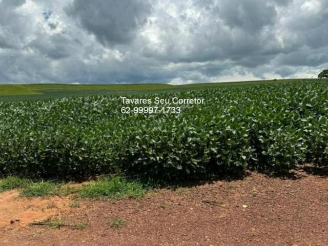 Fazenda