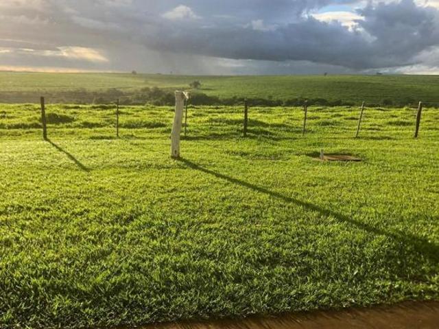 Fazenda 1194 Alqueires, Montada e Estruturada na Pecuária, Topografia Plana, Terra Vermelha, Rica em