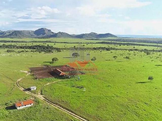 Fazenda 11.963 ha em Caiapônia GO | Oportunidade Única