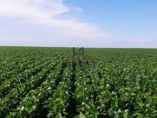 Fazenda para venda em Centro, Bossoroca