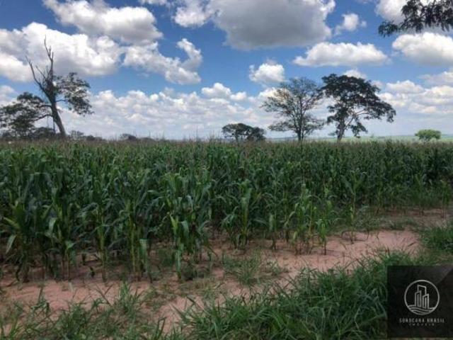Fazenda