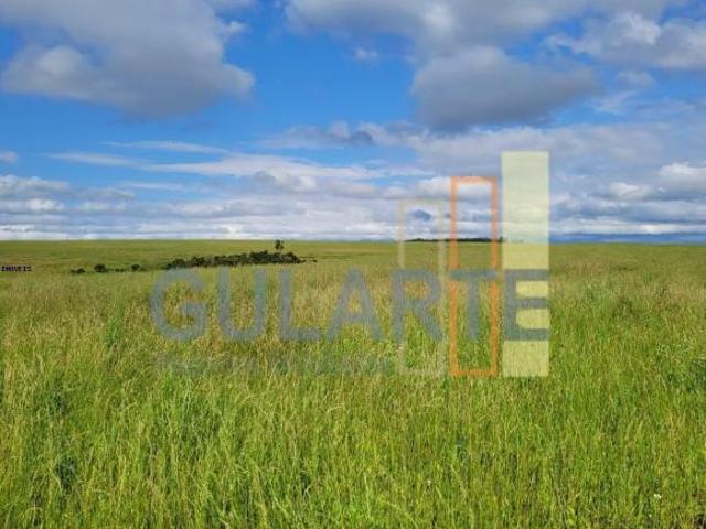 Fazenda