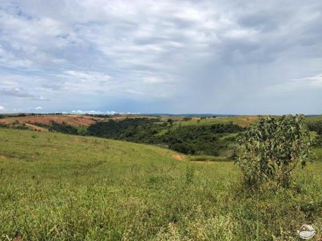 Fazenda