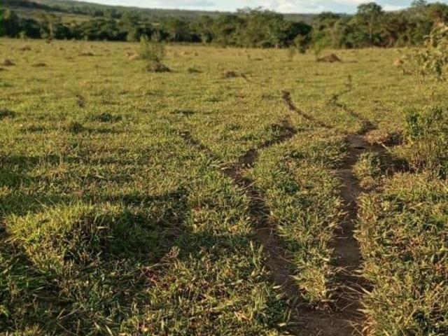 FAZENDA 125 HECTARES, MORRO DAGARÇA