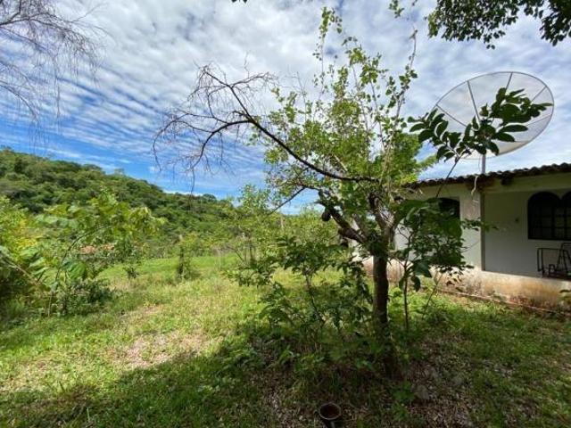 Fazenda