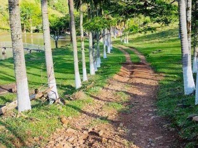Fazenda
