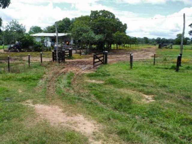 Fazenda