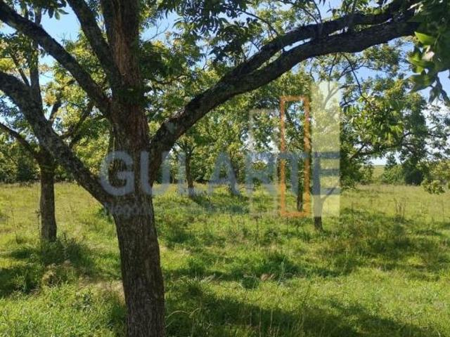 Fazenda