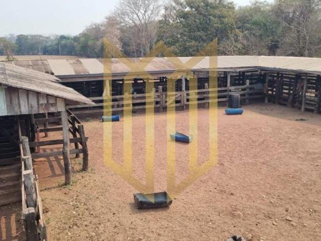 Fazenda 1343 ha a venda região médio norte