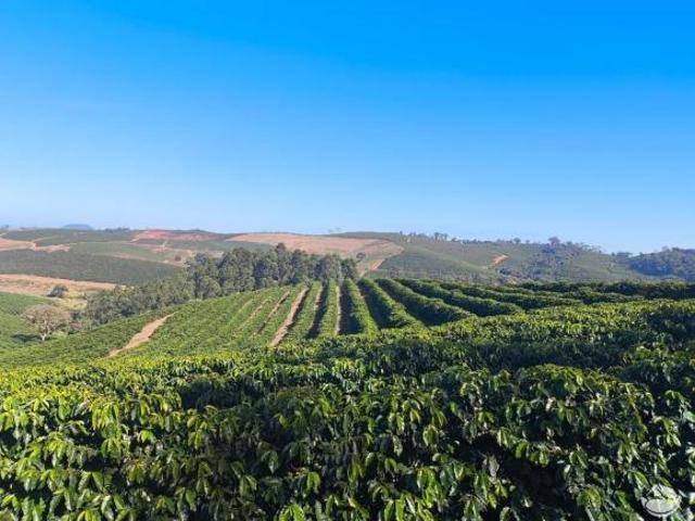Fazenda