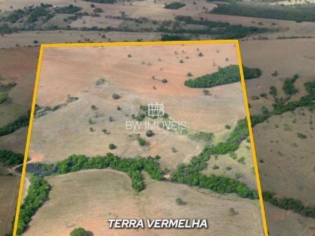 Fazenda 13 Alqueires Terra Vermelha e Plana a 82 km de Goiânia
