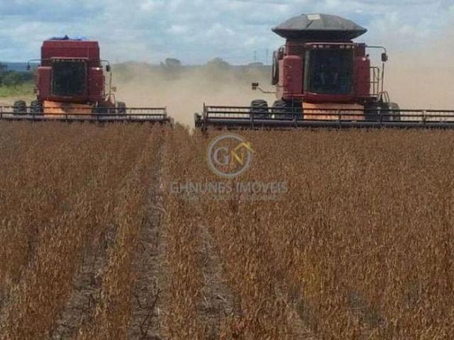 Fazenda 13.530 ha em Sinop/MT | 7.000 ha Lavoura e Silos