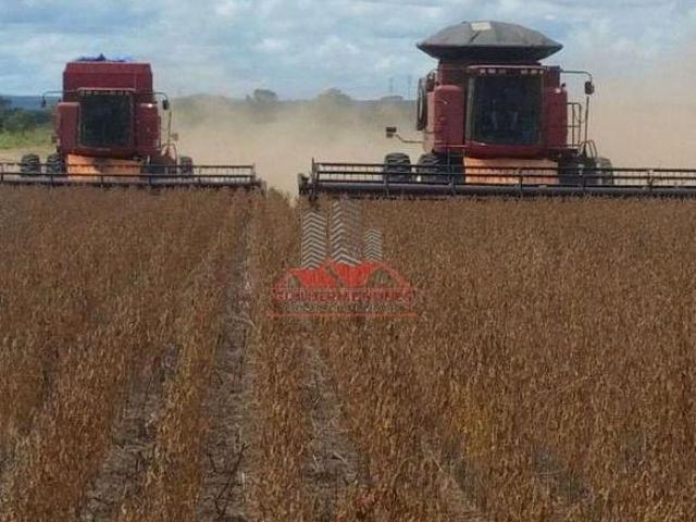 Fazenda 13.530 ha em Sinop/MT | 7.000 ha Lavoura e Silos