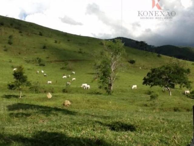 Fazenda 1.200 Alqueires com Pastos Formados e Estrutura Completa em Vale do Paraíba SP