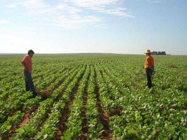 FAZENDA 1.620 HECTARES EM PARANHOS MS PECUÁRIA E AGRICULTURA