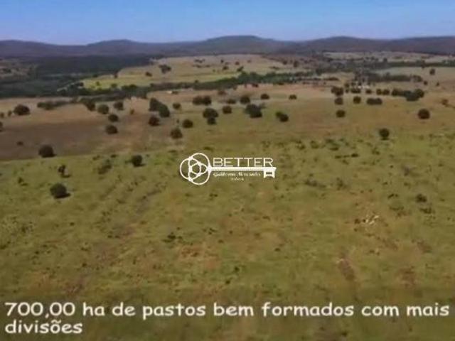 FAZENDA 1.744 ALQUEIRES MANGA/MG GRANDE OPORTUNIDADE!