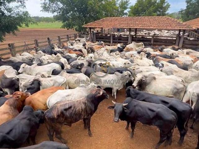 Fazenda 1.800 ha à Venda em Ibitira Martinho Campos / MG