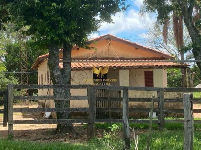 FAZENDA 243 INOCENCIA